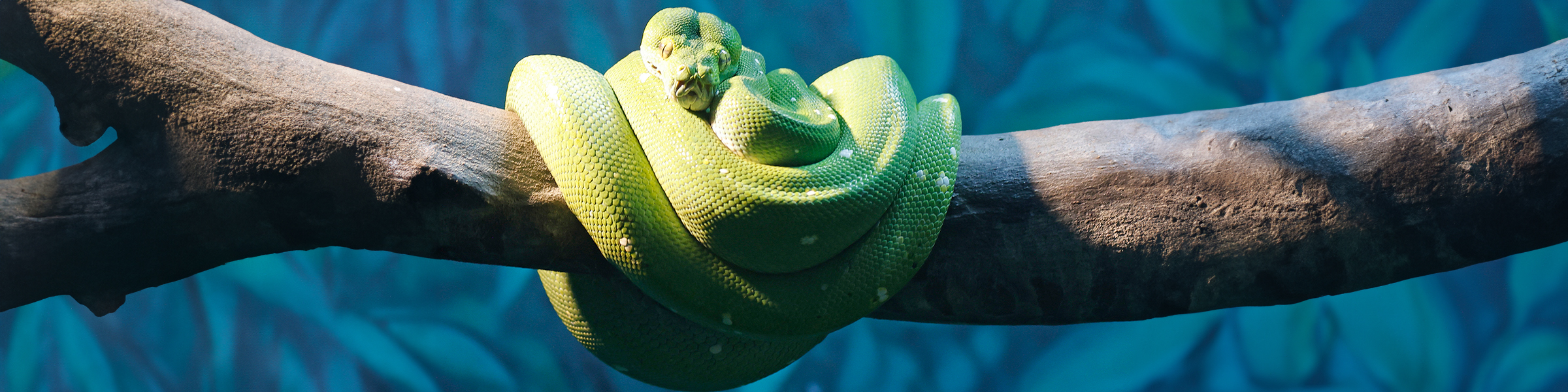 Cameron Park Zoo | Waco, Texas